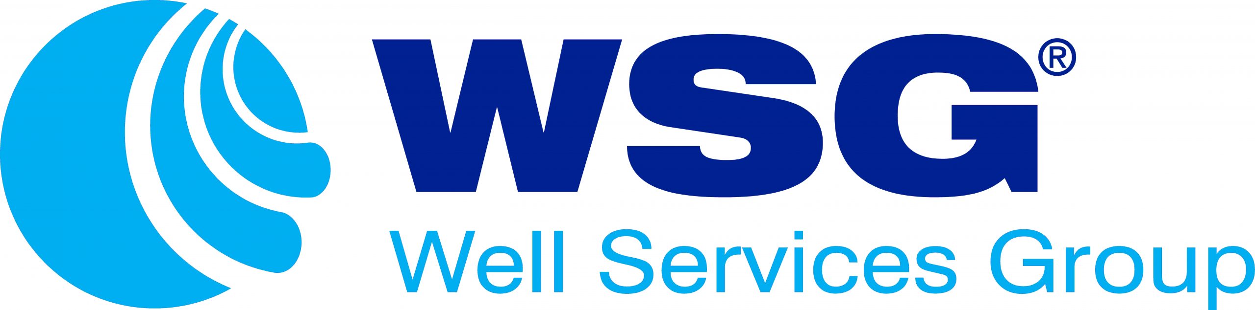 Well Services Group | Tank Storage Association